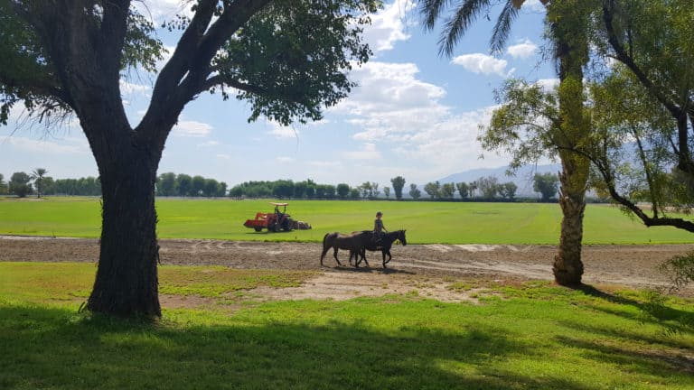 5 Things to do in the Coachella Valley - Coachella Valley Real Estate ...